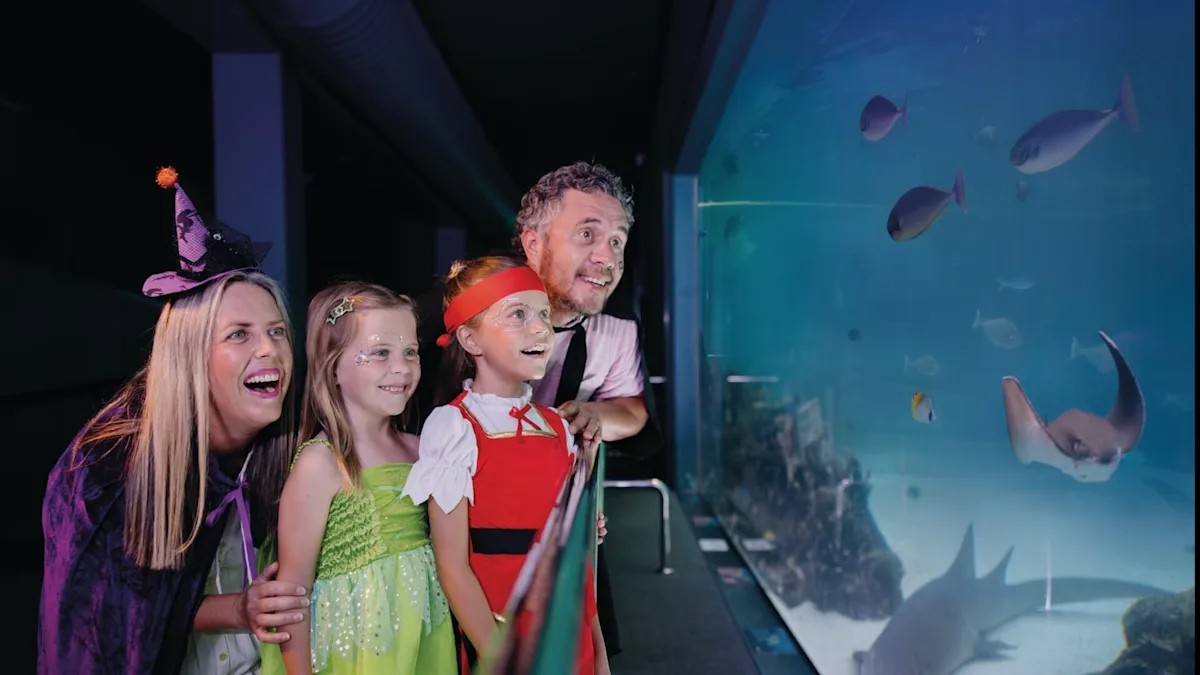 Sea World brings back Spooky Nights for families this October | News ...